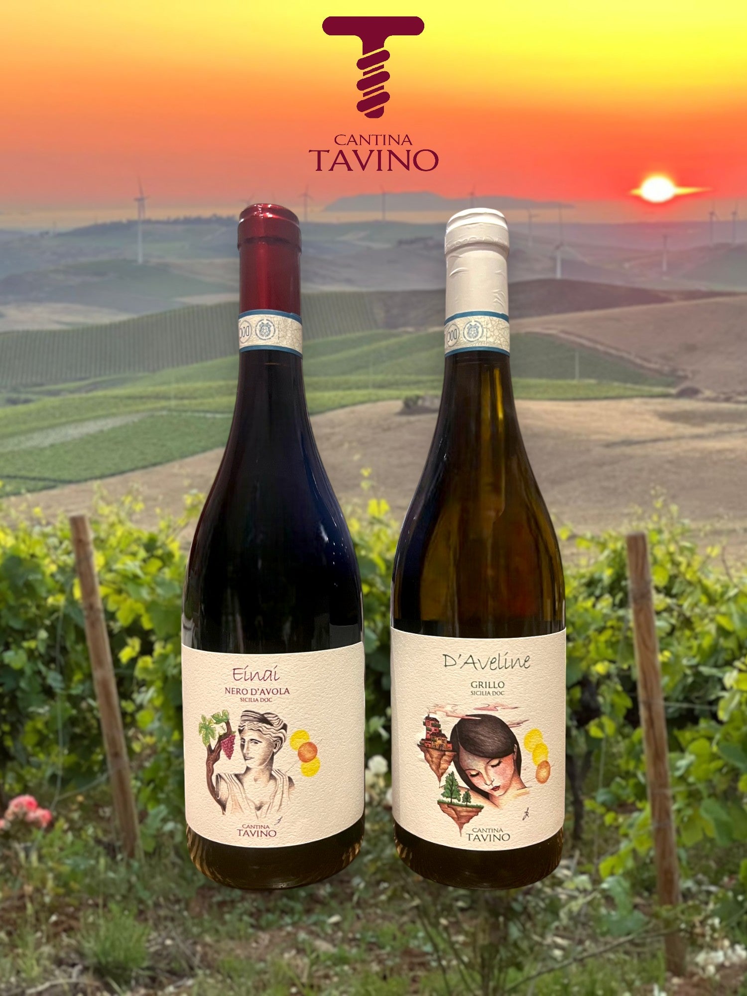 Cantina Tavino – Vini DOC di Sicilia | Acquisto Online – Cantina tavino
